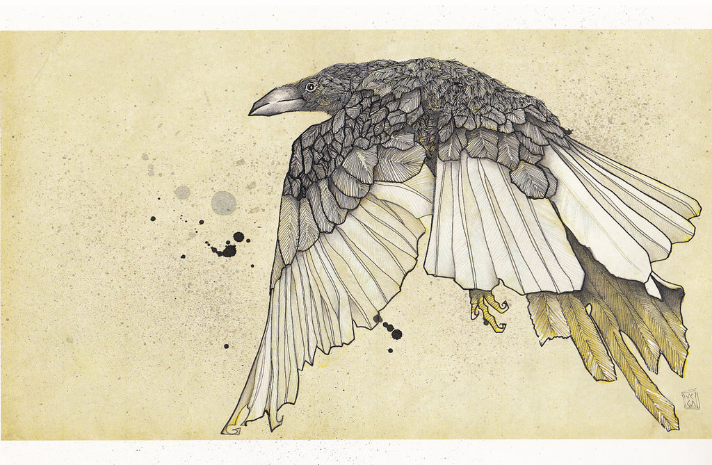 Cuervo II por hrnvega | Dibujando